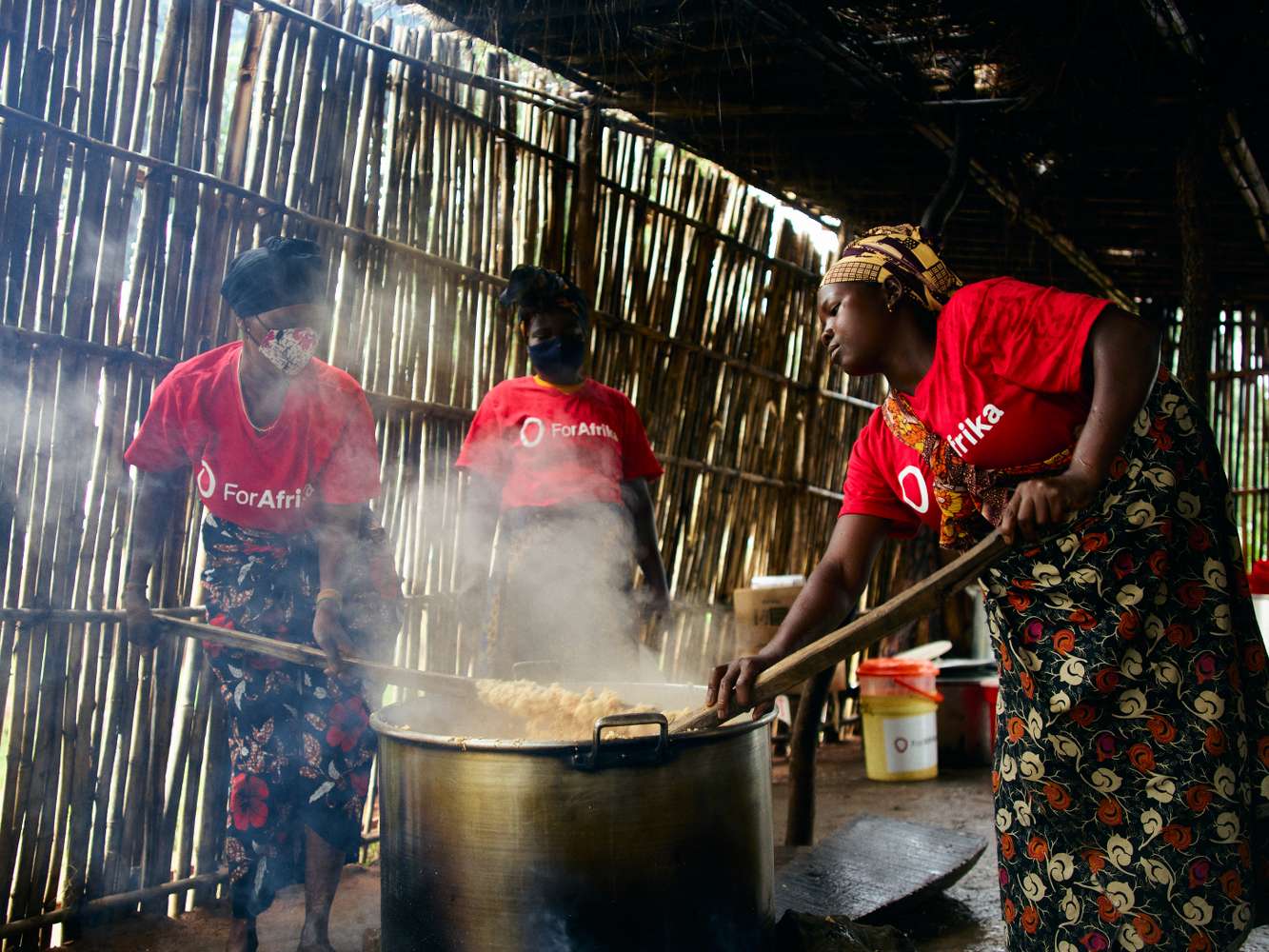 ForAfrica Group - Together we can achieve more