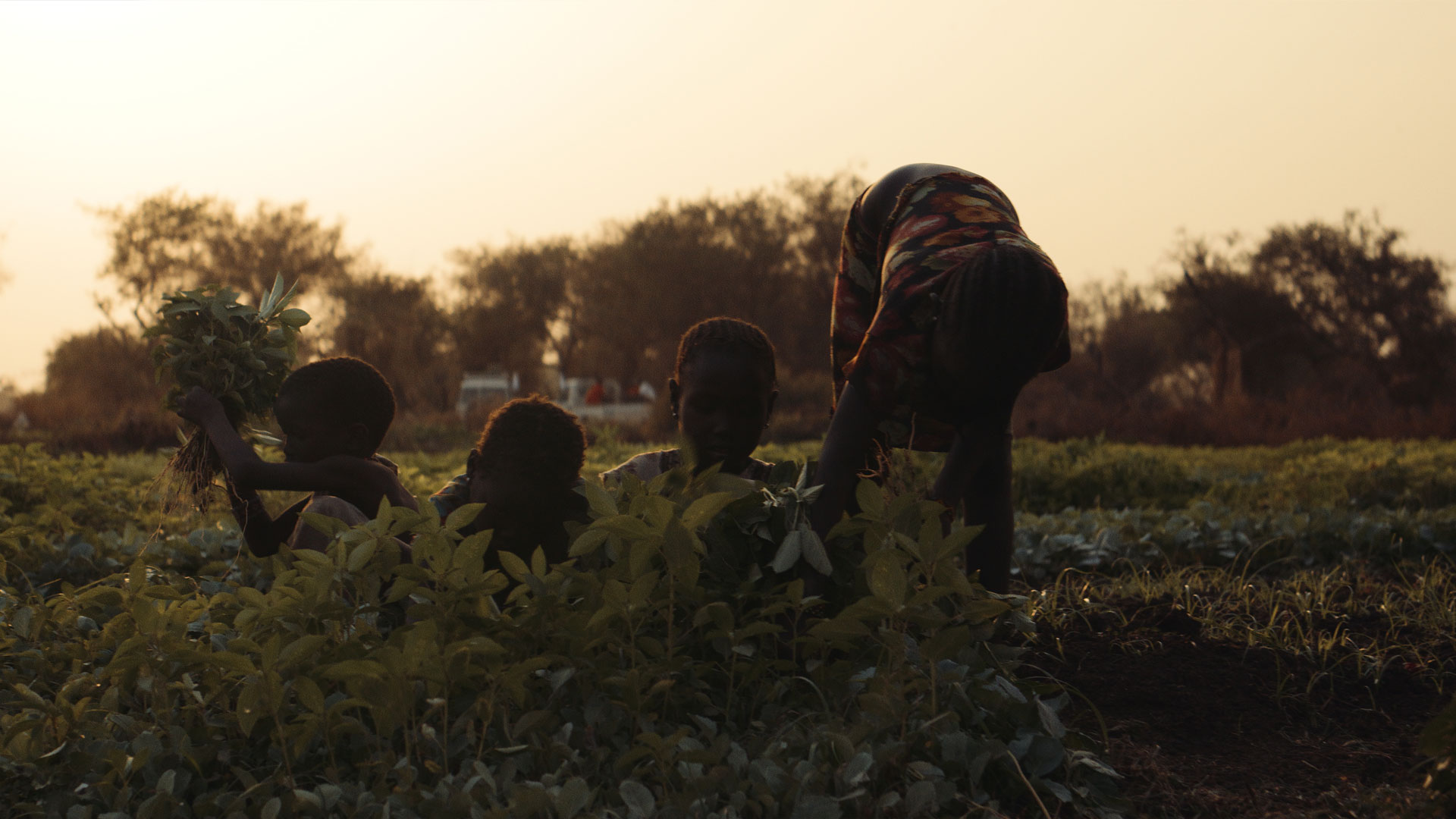 Programme - ForAfrika Global